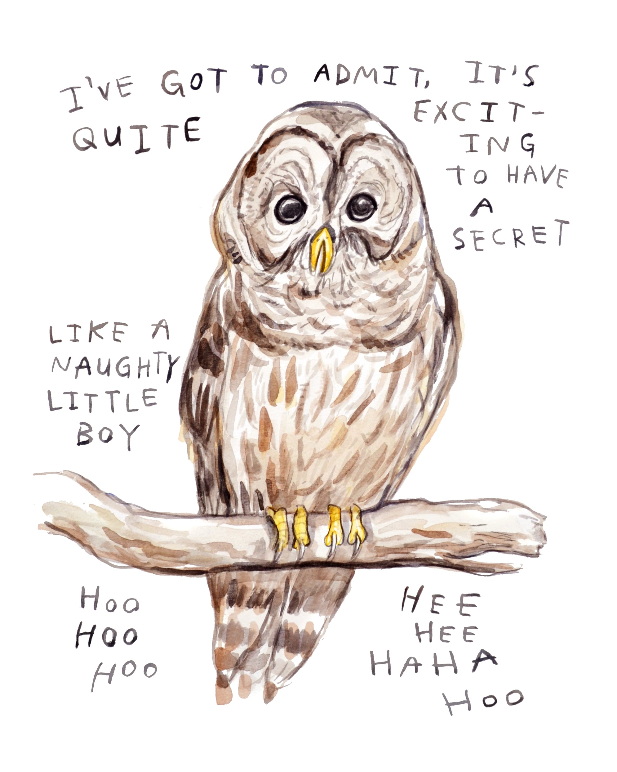 Secret Owl - Limited Edition Bath Art Print– Heather Buchanan
